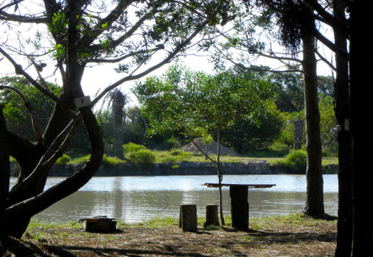 Camping - Barra del Chuy